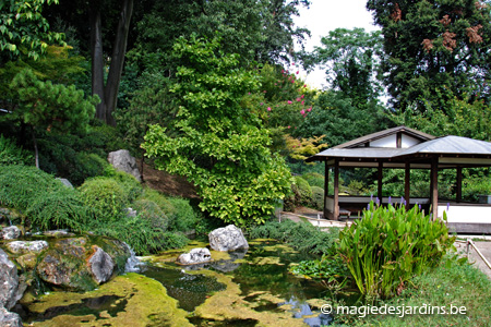 Roma: Jardin Botanique de Rome